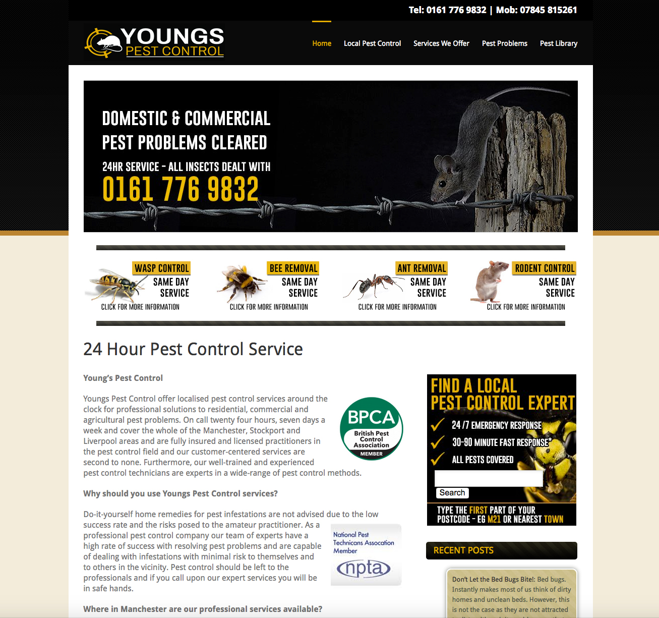 Our Portfolio - Custom Website Graphics Examples